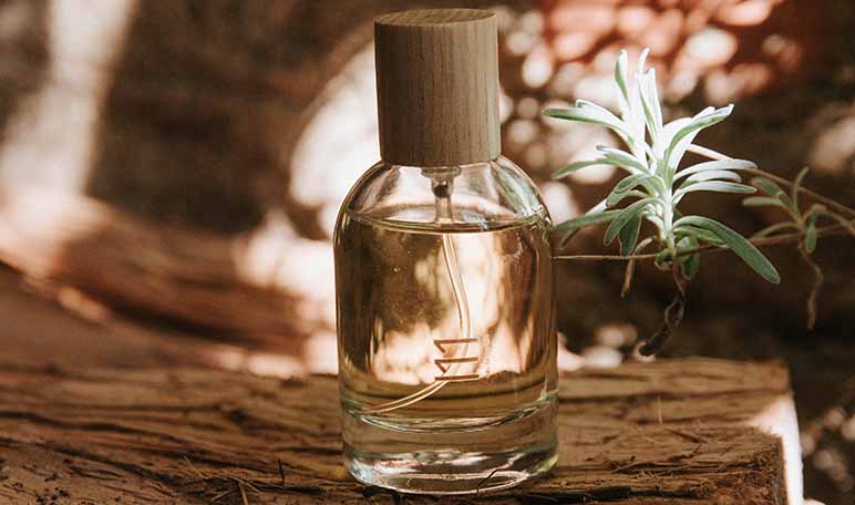 The Eleven House lanza el perfume M11 - Diario de Emprendedores